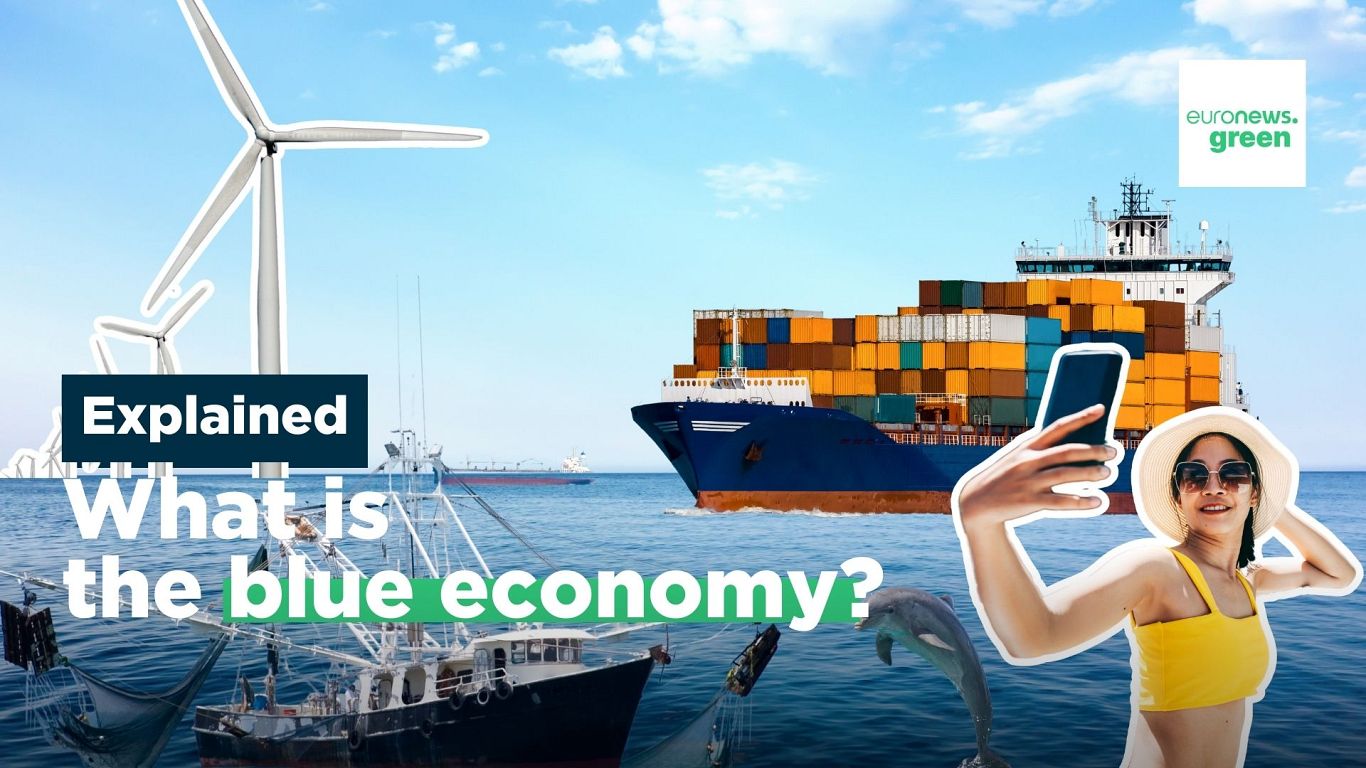 The blue economy: What is it and can it make ocean use sustainable ...