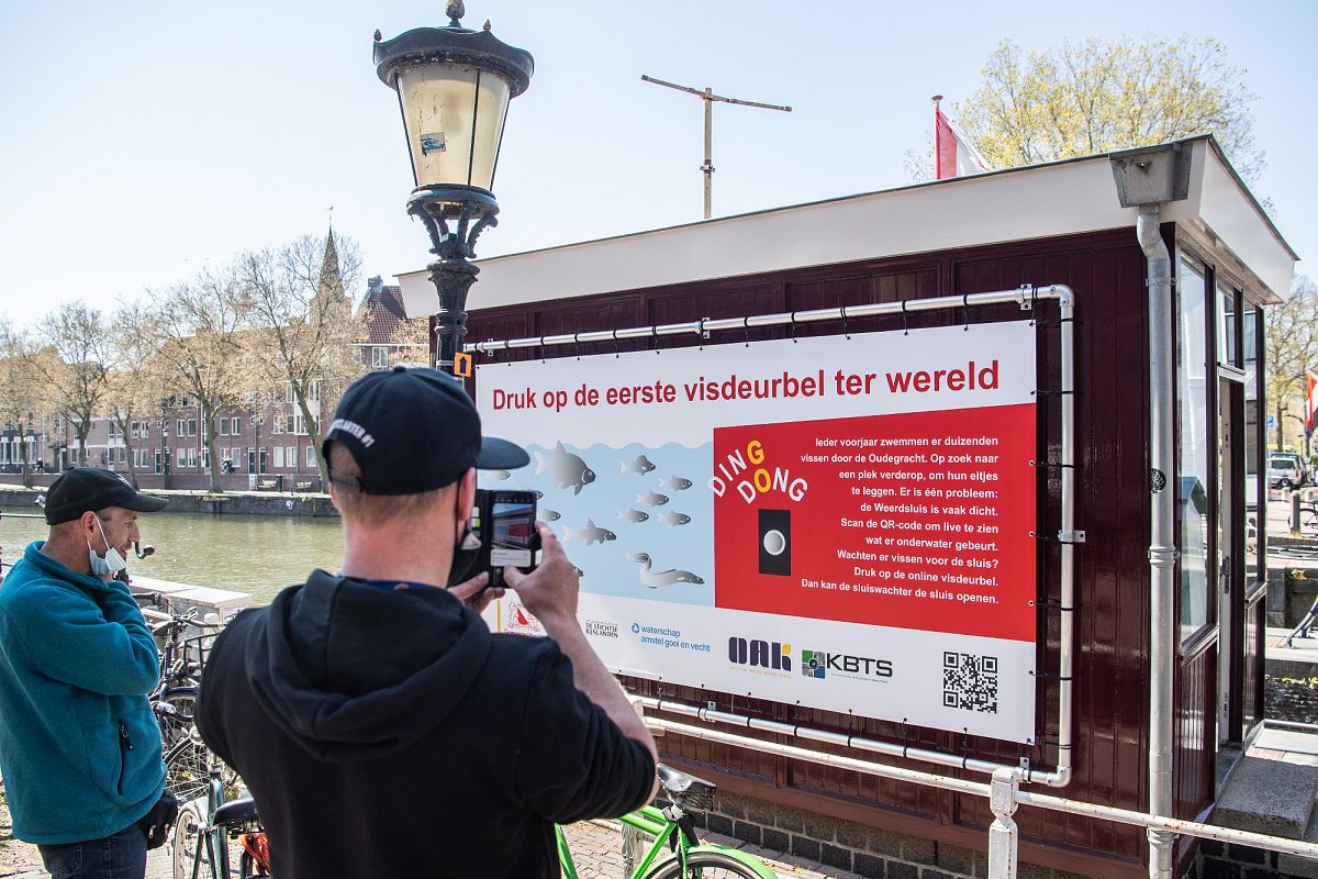 What is the fish doorbell? How a livestream from the Netherlands is ...