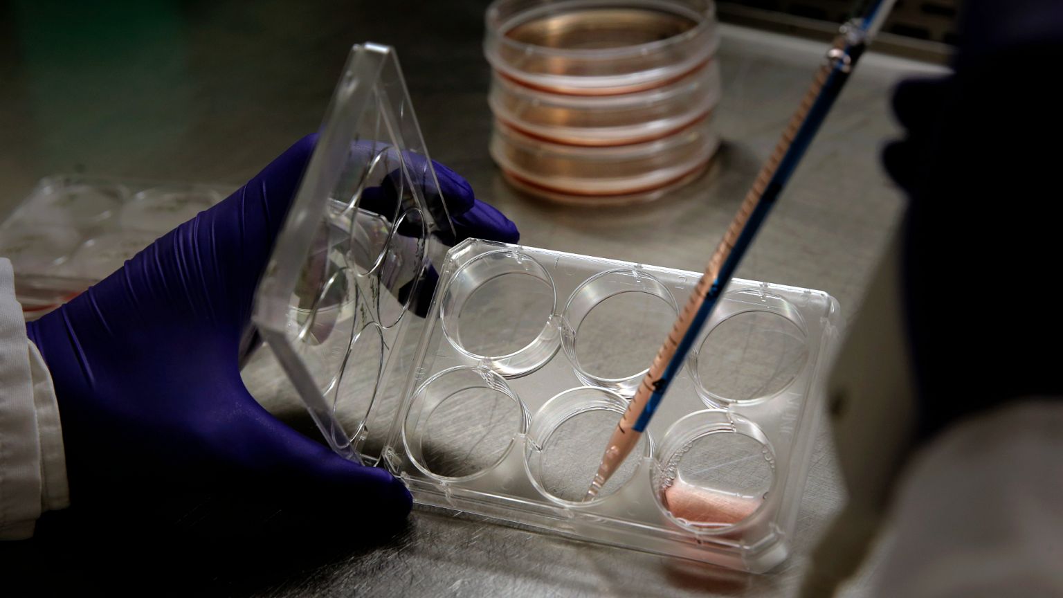 Commission playing catch up with US, China in life science sector ...