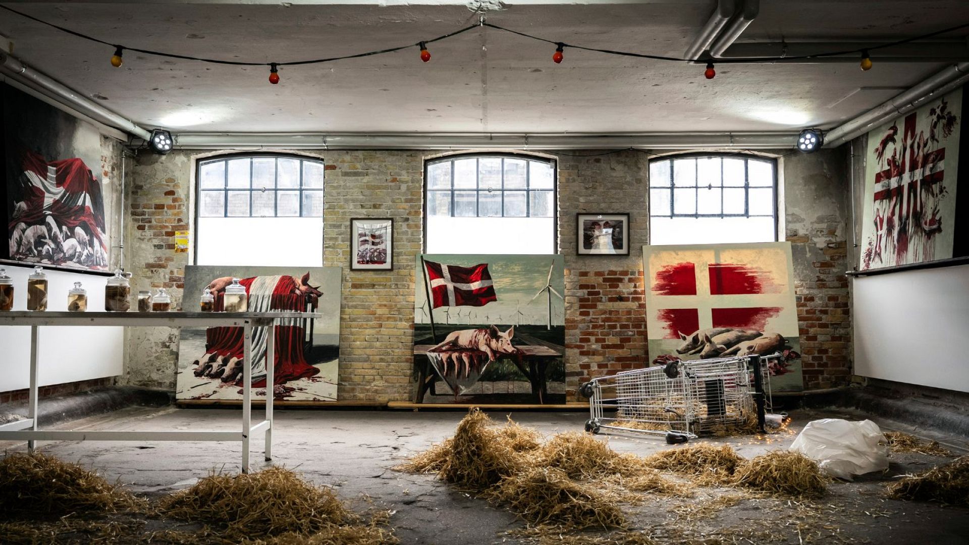 These piglets left to die as part of a controversial exhibition in ...