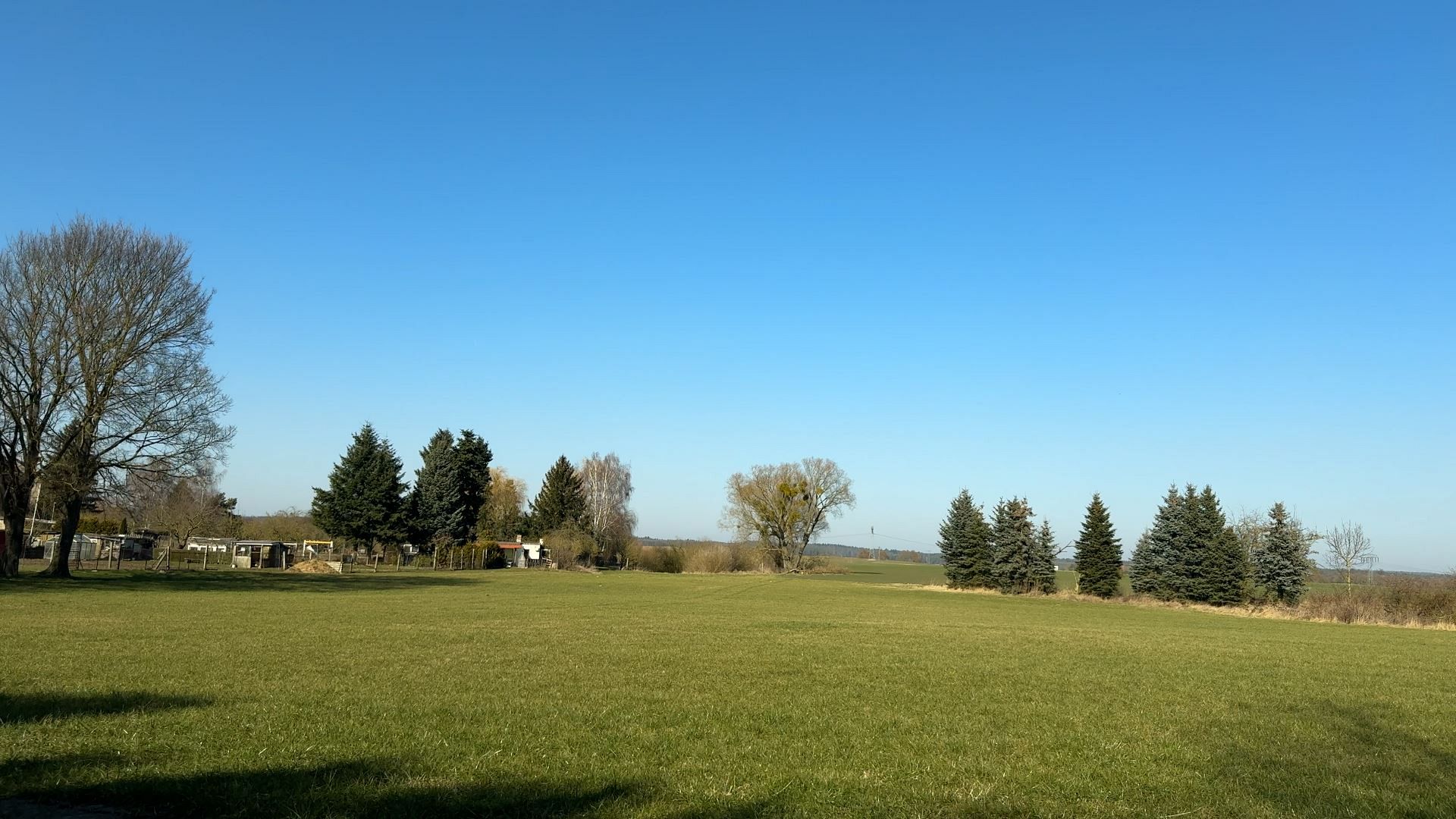 Why is far-right AfD dominating in northeast Germany? | Euronews