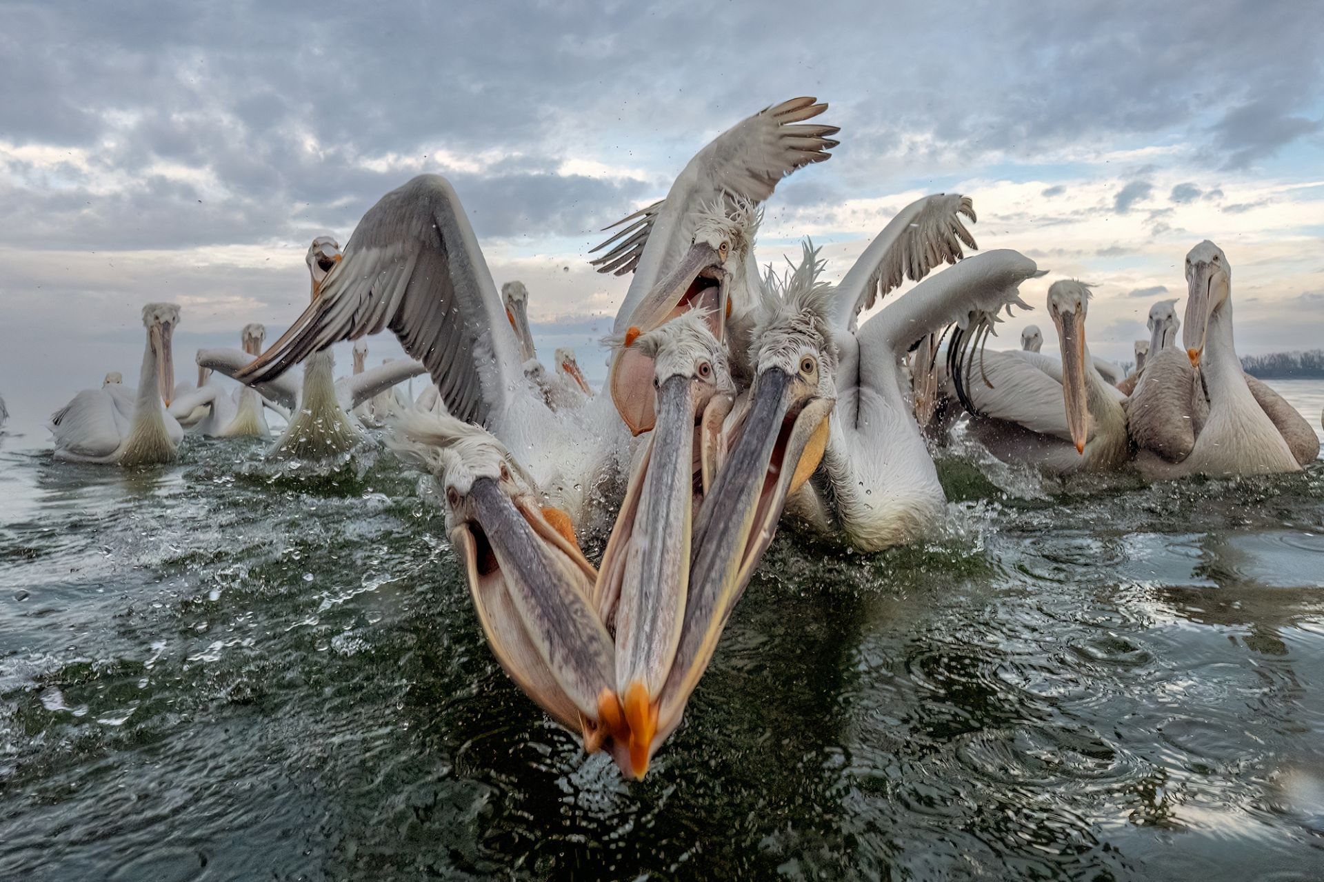 Beauty everywhere: Take a look at the winners of the 2025 Sony World ...