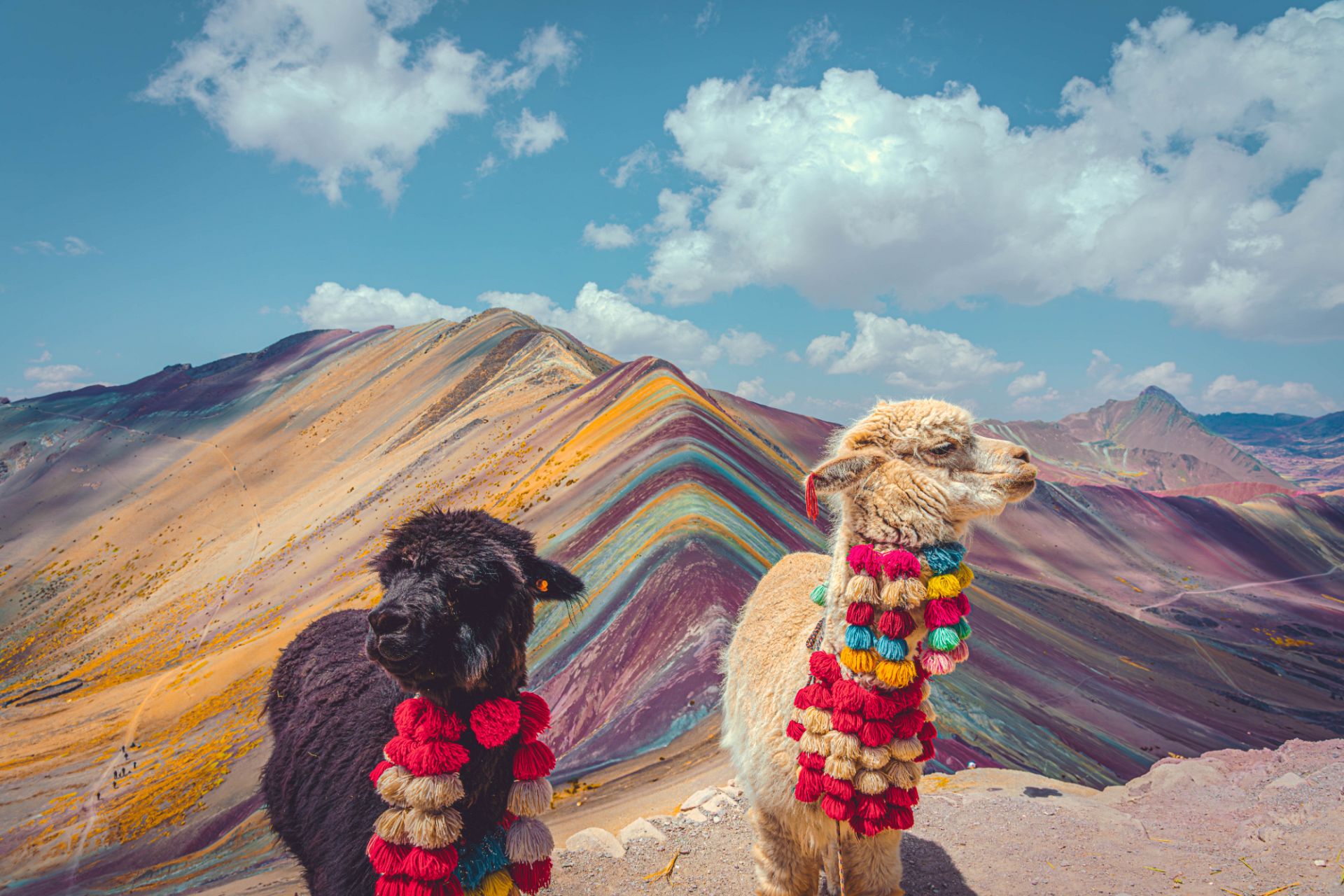 Beauty everywhere: Take a look at the winners of the 2025 Sony World ...