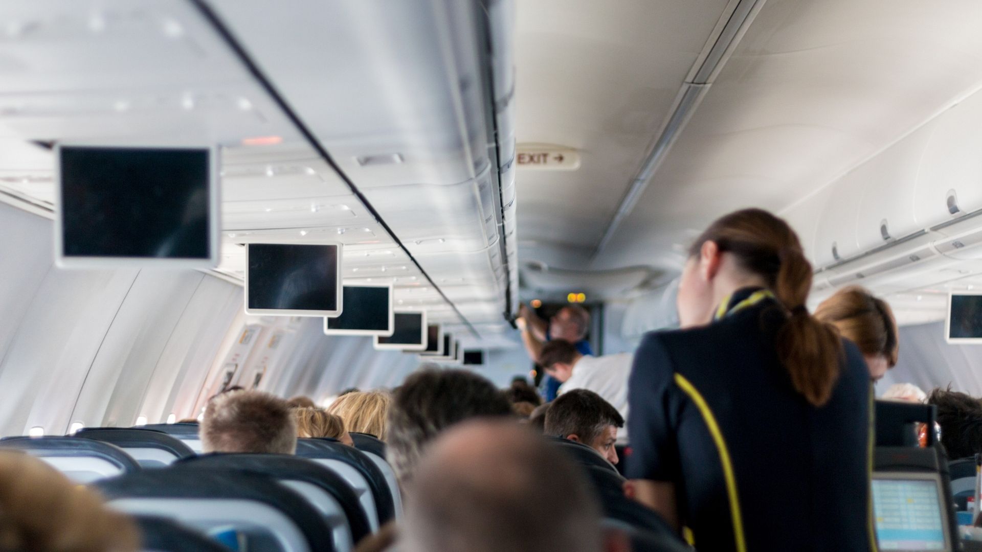 Airport theory, seat squatters and check-in chickens: Why these viral ...