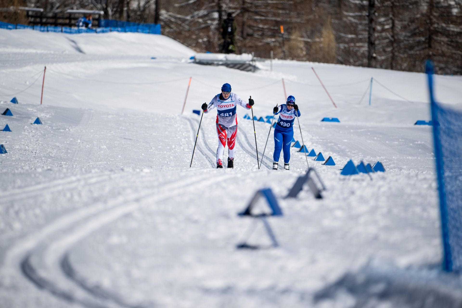 三月kemono 三月漫画家代表作 ひなこのーと キューン編集部様の許可をいただいて運用しております連絡先 ボテ腹大家さんとイチャラブ差分なし 三月