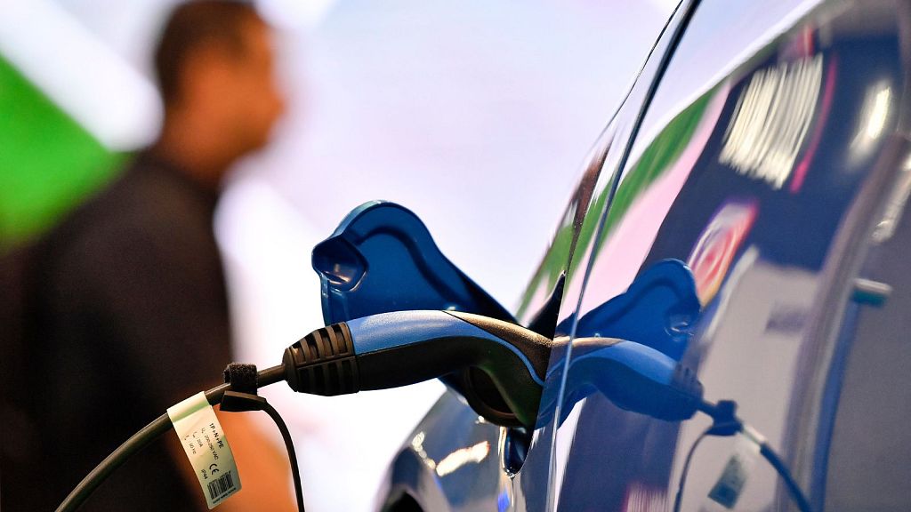 ‘Road rage’ in paradise: Traffic noise is changing how birds in the ...