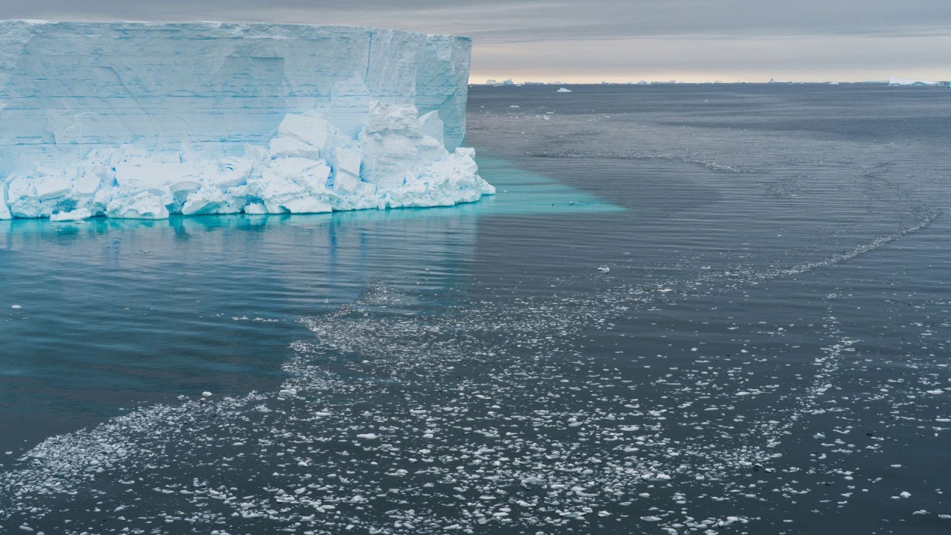 Scientists were in Antarctica when a giant iceberg broke free. Here’s what they found in its ...