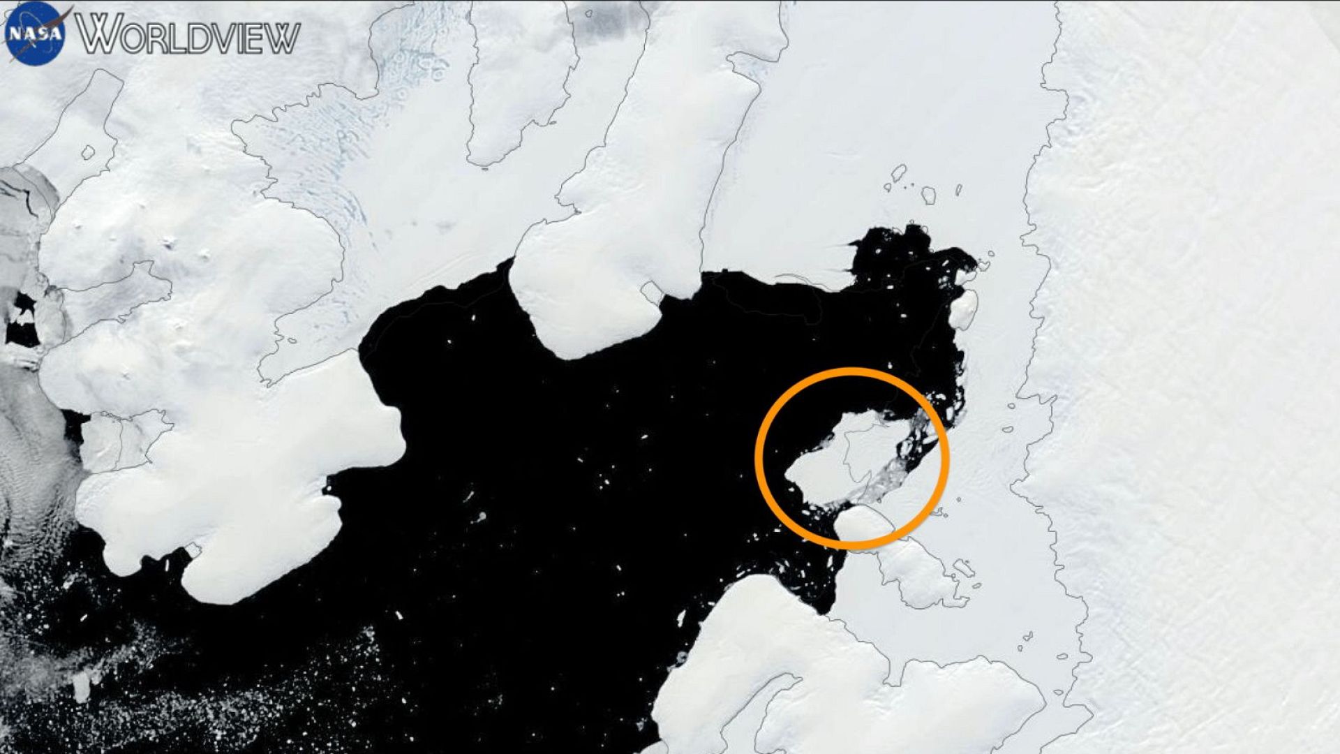 Scientists were in Antarctica when a giant iceberg broke free. Here’s what they found in its ...