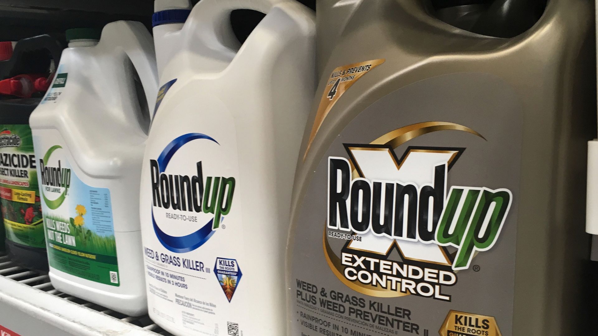 Bayer ordered to pay €1.9 billion by US court in Roundup cancer case ...