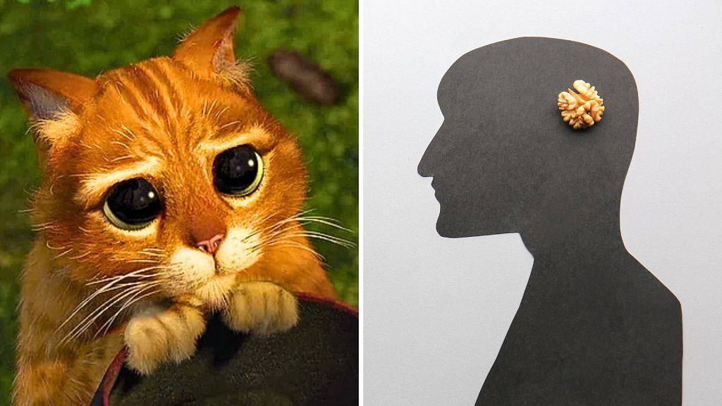 'Demure' named 2024 Word of the Year by Dictionary.com | Euronews