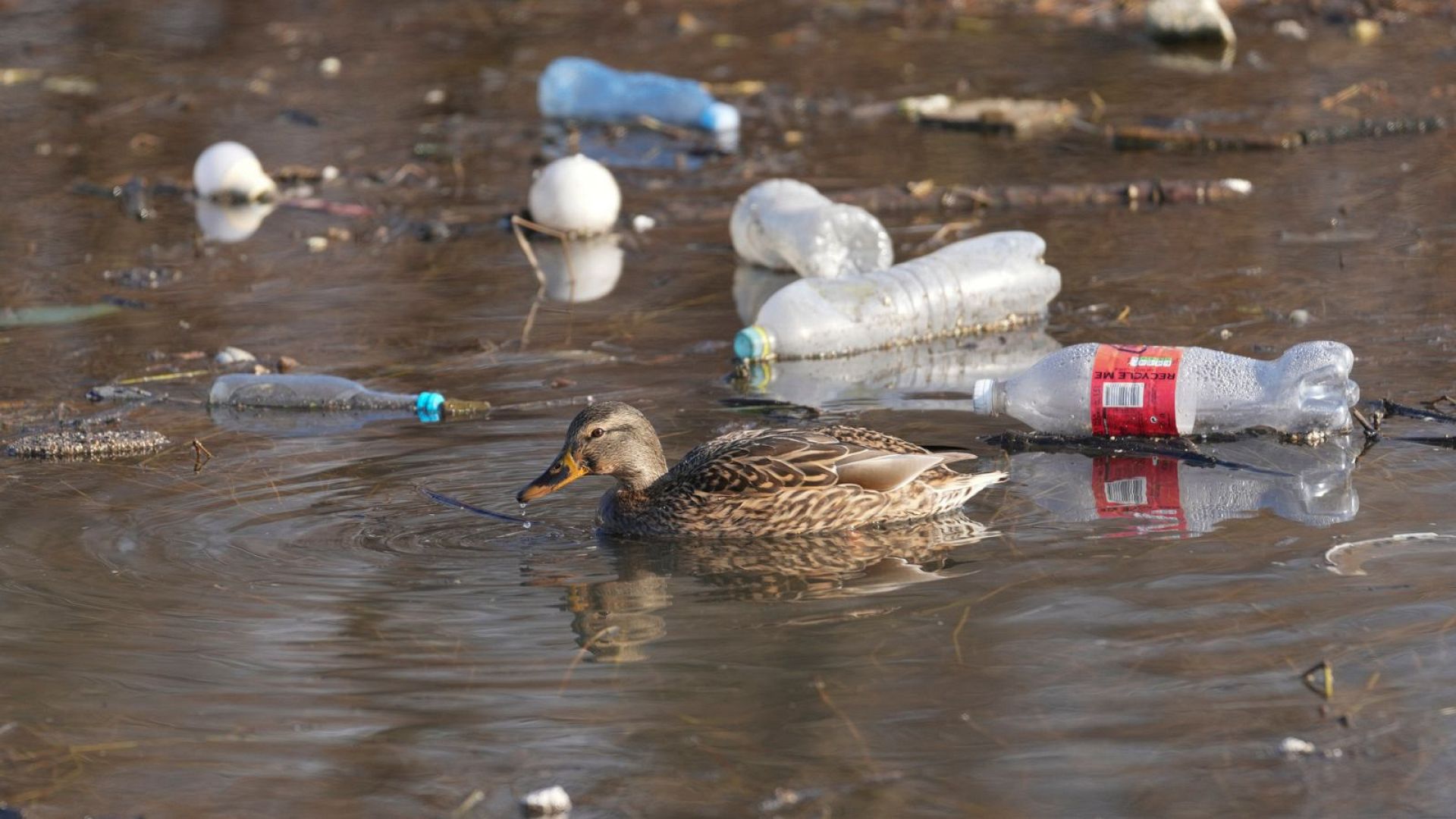 Coca-Cola and Unilever among dozens of plastic brands tied to Texas ...