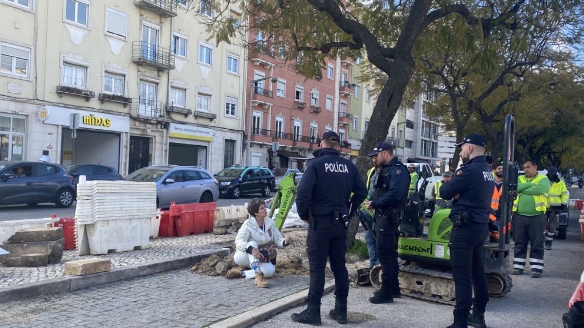 Abate e transplantação de árvores para criar mais estacionamento em ...