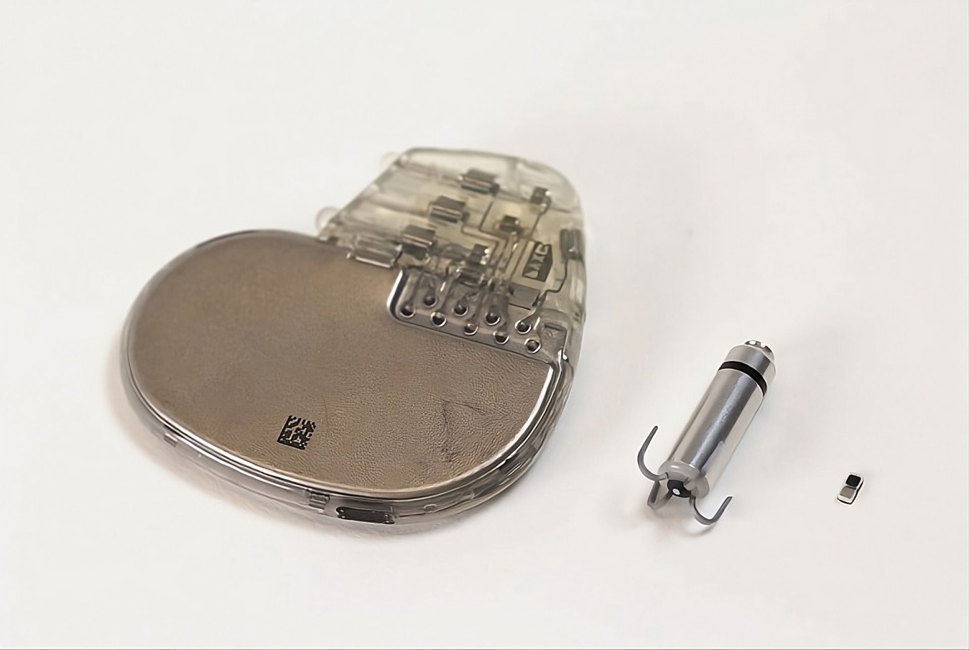 Medicina: scienziati sviluppano il pacemaker più piccolo al mondo, a ...