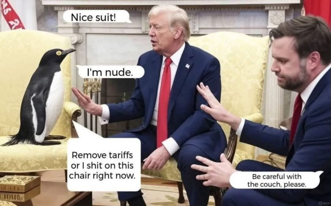 Penguins targeted by Trump tariffs now have a (viral) social media account | Euronews