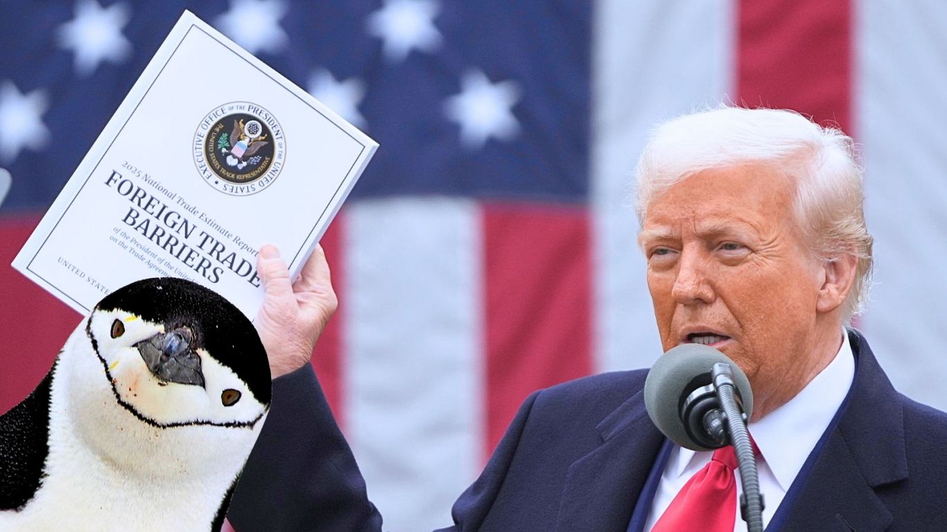 Penguins targeted by Trump tariffs now have a (viral) social media account | Euronews