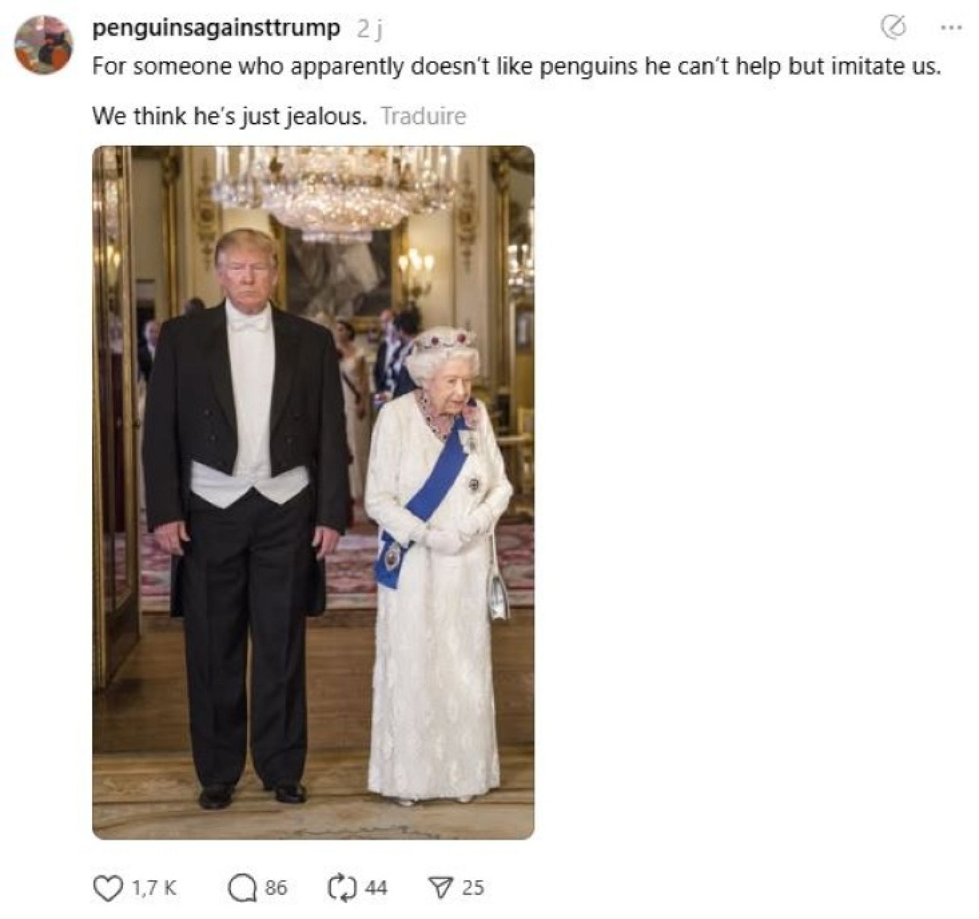 Penguins targeted by Trump tariffs now have a (viral) social media account | Euronews