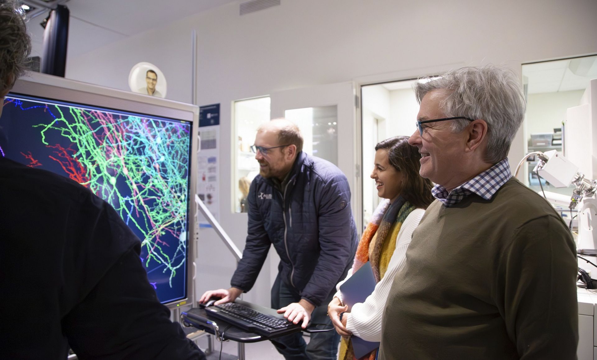 Scientists produce complex map of mouse's brain that could unravel ...