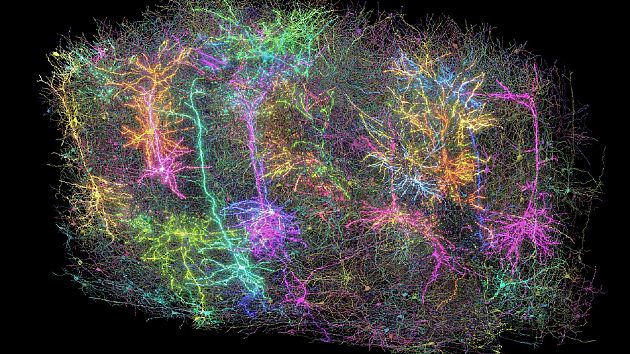 Video. Nvidia’s AI robot ‘Blue’ stuns with live interaction | Euronews