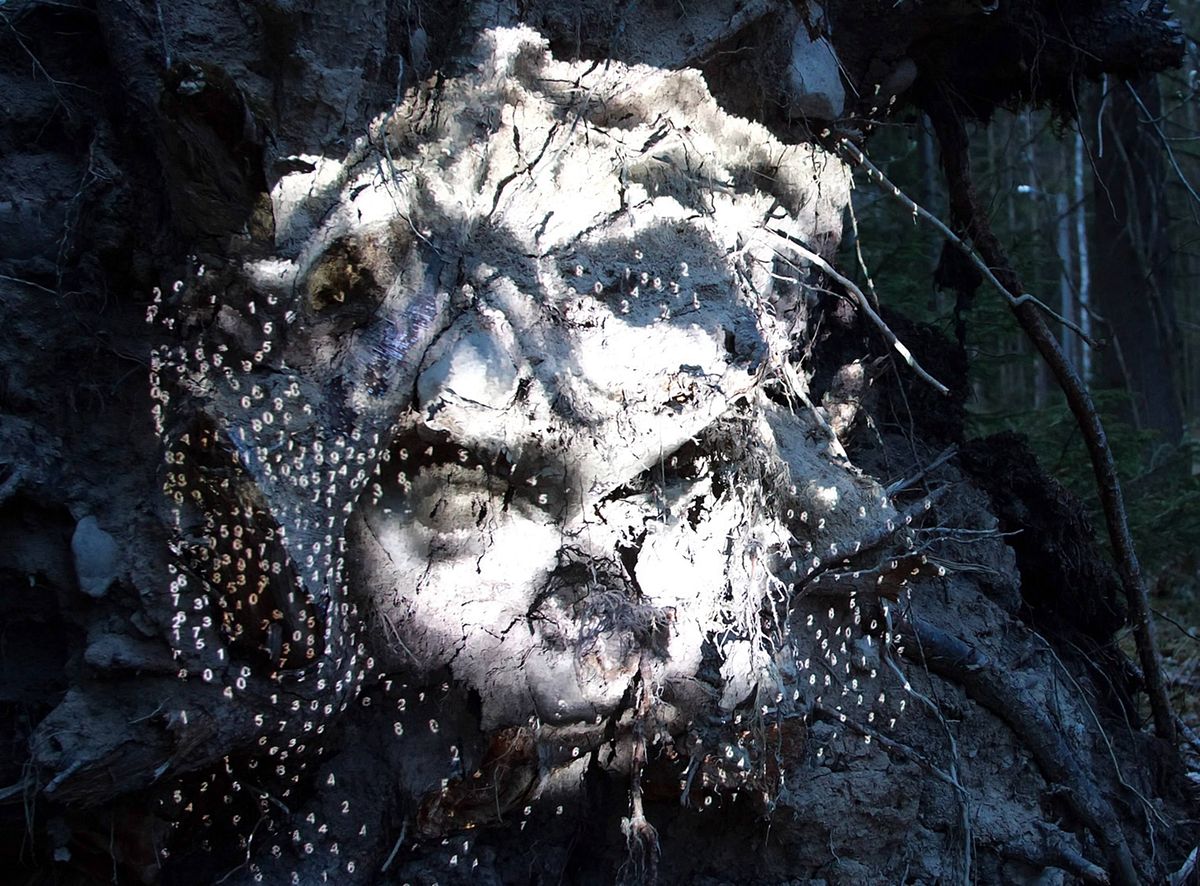 The Garden of Pythia: Oracles and AI installation turn Greek landscape ...