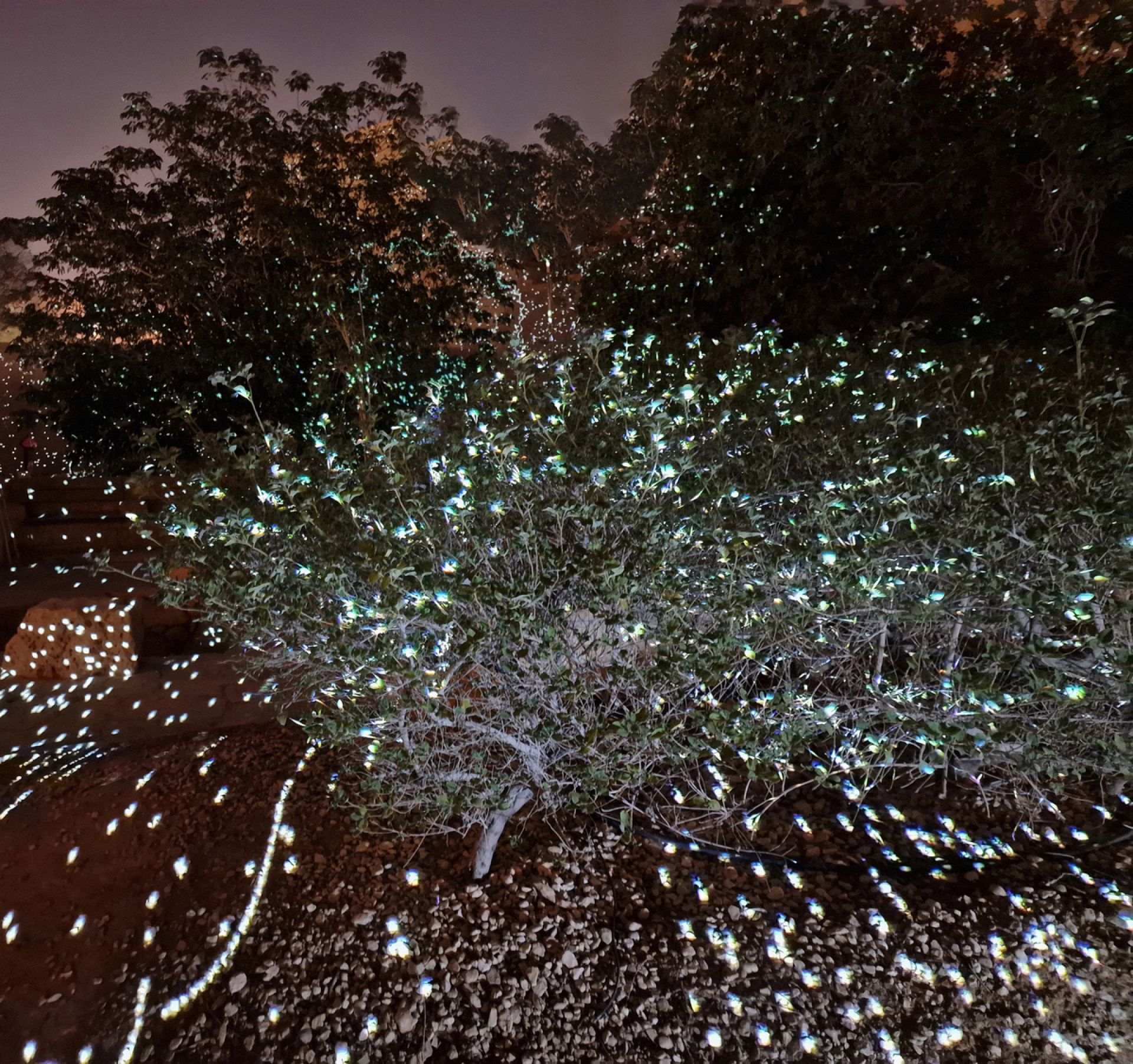 The Garden of Pythia: Oracles and AI installation turn Greek landscape ...