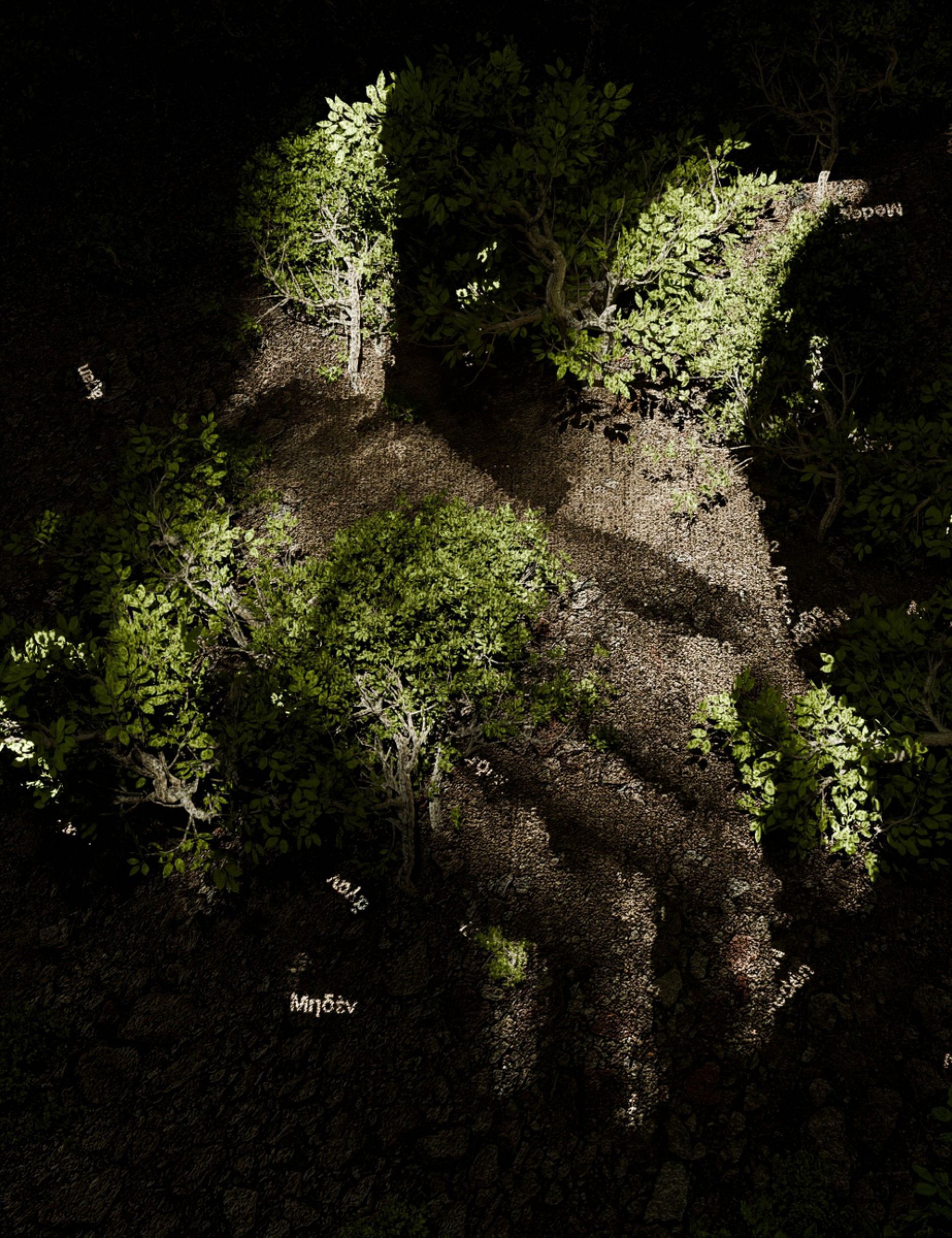 The Garden of Pythia: Oracles and AI installation turn Greek landscape ...