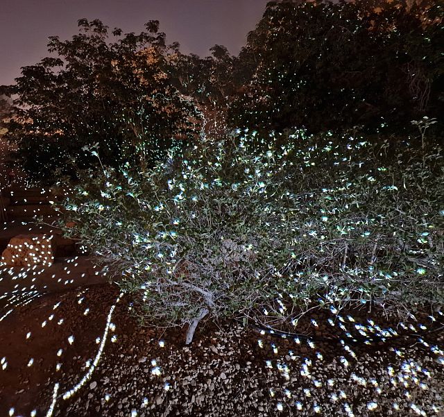 The Garden of Pythia: Oracles and AI installation turn Greek landscape ...
