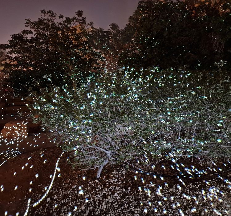 The Garden of Pythia: Oracles and AI installation turn Greek landscape ...