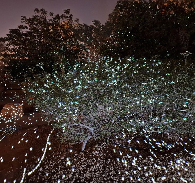 The Garden of Pythia: Oracles and AI installation turn Greek landscape ...