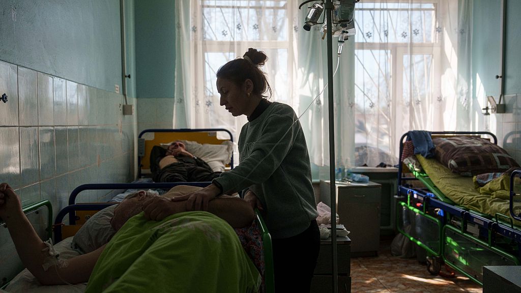 Video. Meet Floki: The dog who became viral for his crazy volleyball ...