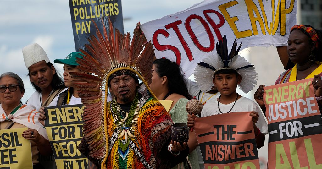 Indigenous and climate activists rally in Brasília ahead of COP30 ...