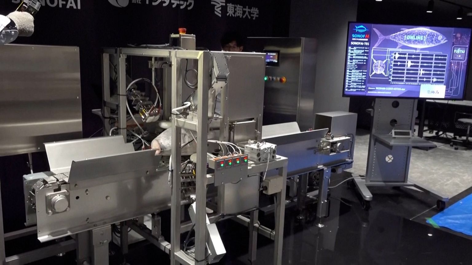 This new AI-powered ultrasound machine can tell how tasty a tuna is in ...