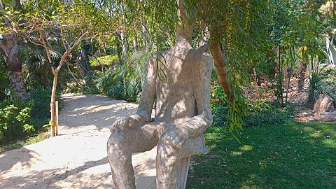 An amphibious mouse, a blob-headed fish and a rain frog: Researchers ...