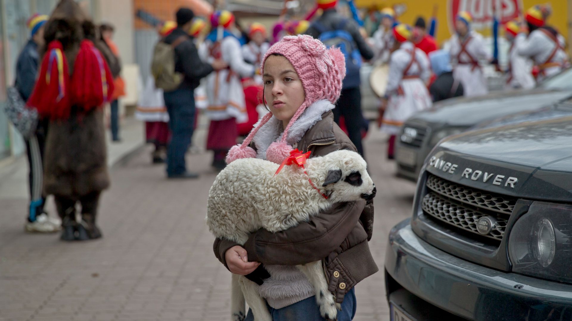 Romanian regulators urge adherence to rules covering lamb slaughter at ...