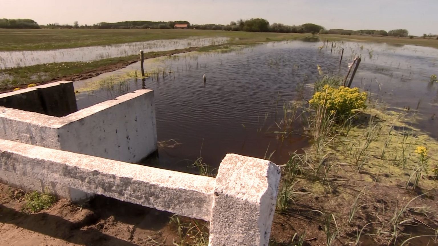 Una localidad de Hungría reverdece con trabajo un estanque que se había ...