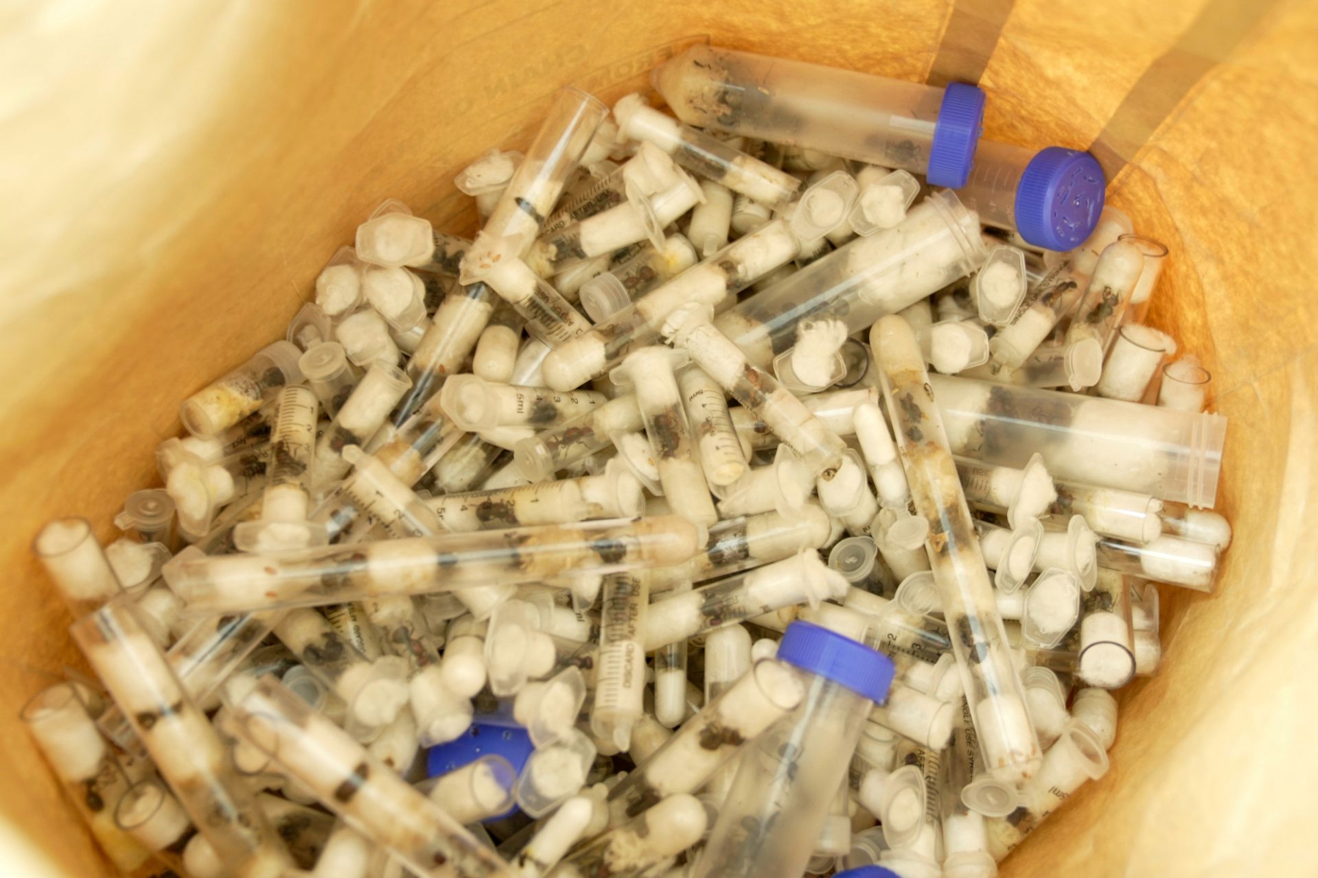 Kenya : un tribunal condamne deux jeunes Belges trouvés en possession ...