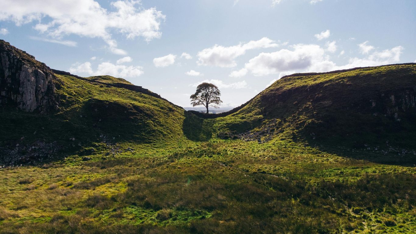 Sycamore Gap: Two men charged with felling beloved tree go on trial in ...