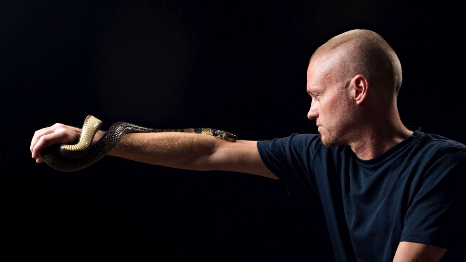 El hombre que se dejó morder más de 200 veces por serpientes venenosas ...