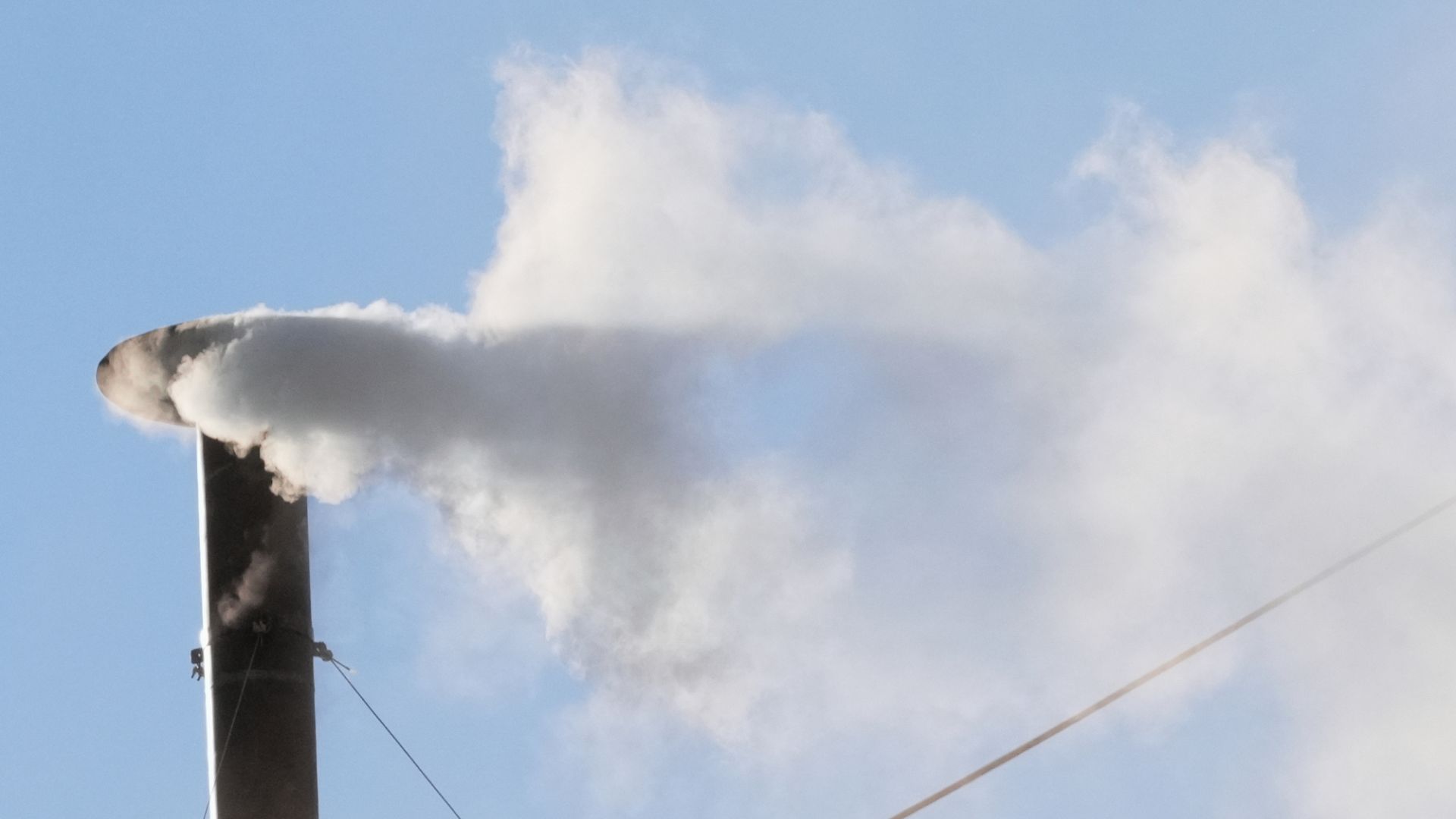 Video. Crowd cheers as white smoke announces new pope at Vatican | Euronews