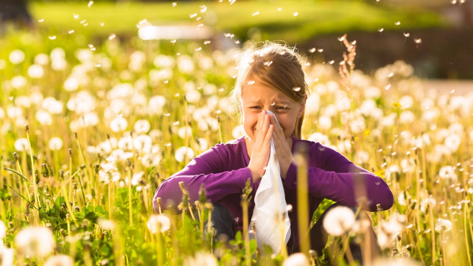 Nipping hayfever in the bud: These are the plants you should avoid if ...