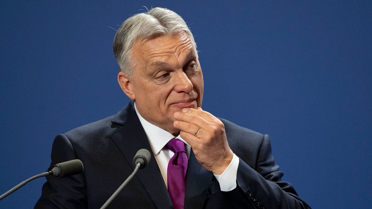 „Az átláthatósági törvény hadüzenet az Európai Uniónak” | Euronews