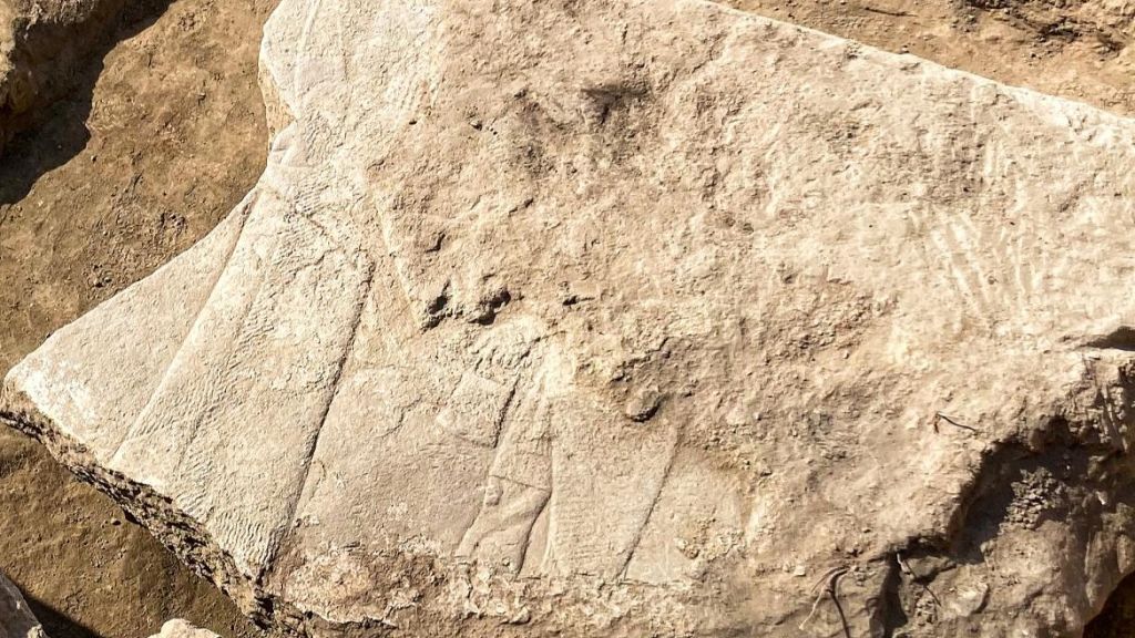 He’s fur real: Meet Toco, the man going viral for his first walk as ...