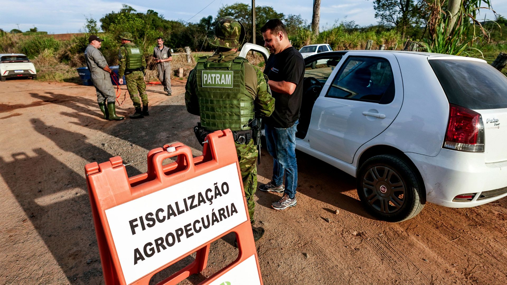 Bird flu outbreak halts Brazilian poultry exports to the EU | Euronews