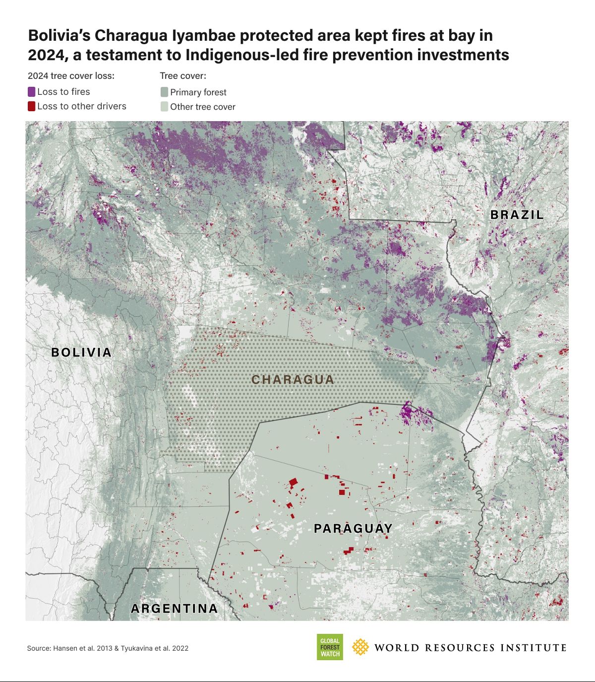 World lost a record-shattering amount of forest in 2024, fuelled by ...