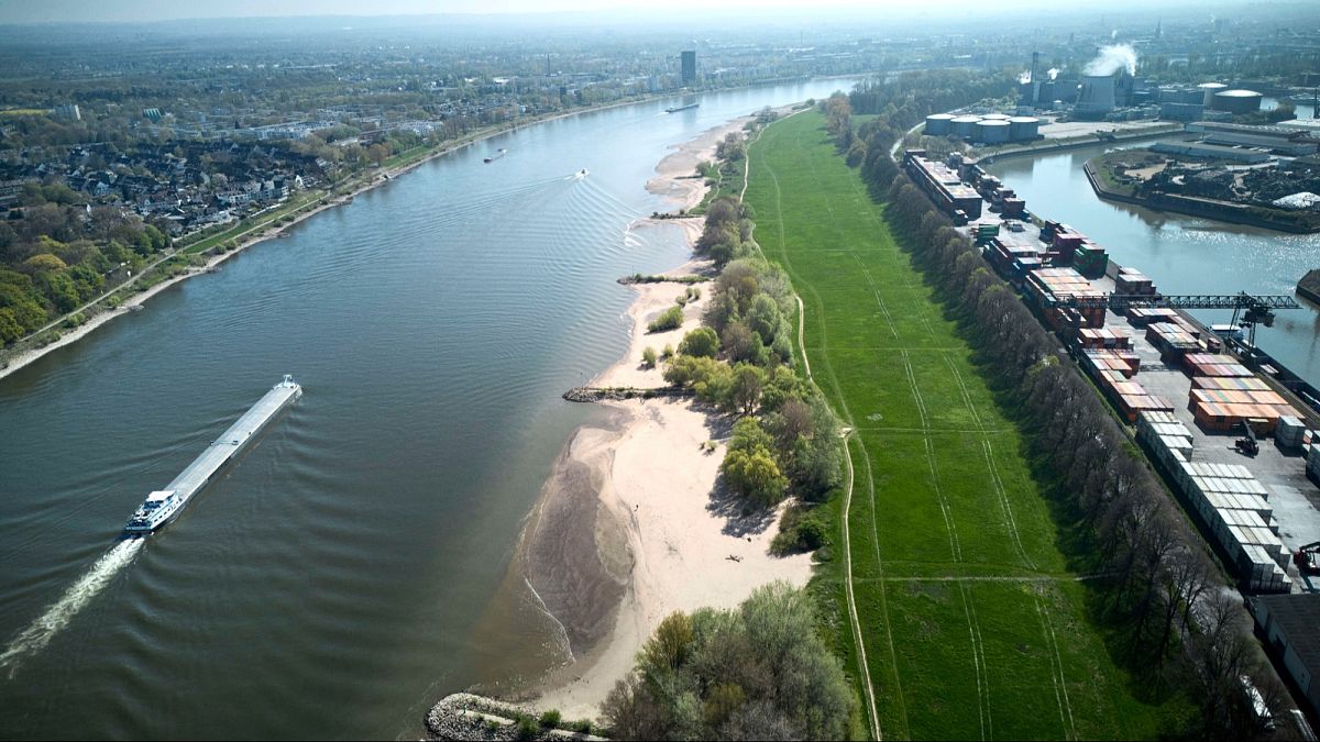 Trocknet die Wirtschaft aus? Was das Niedrigwasser im Rhein bedeutet | Euronews