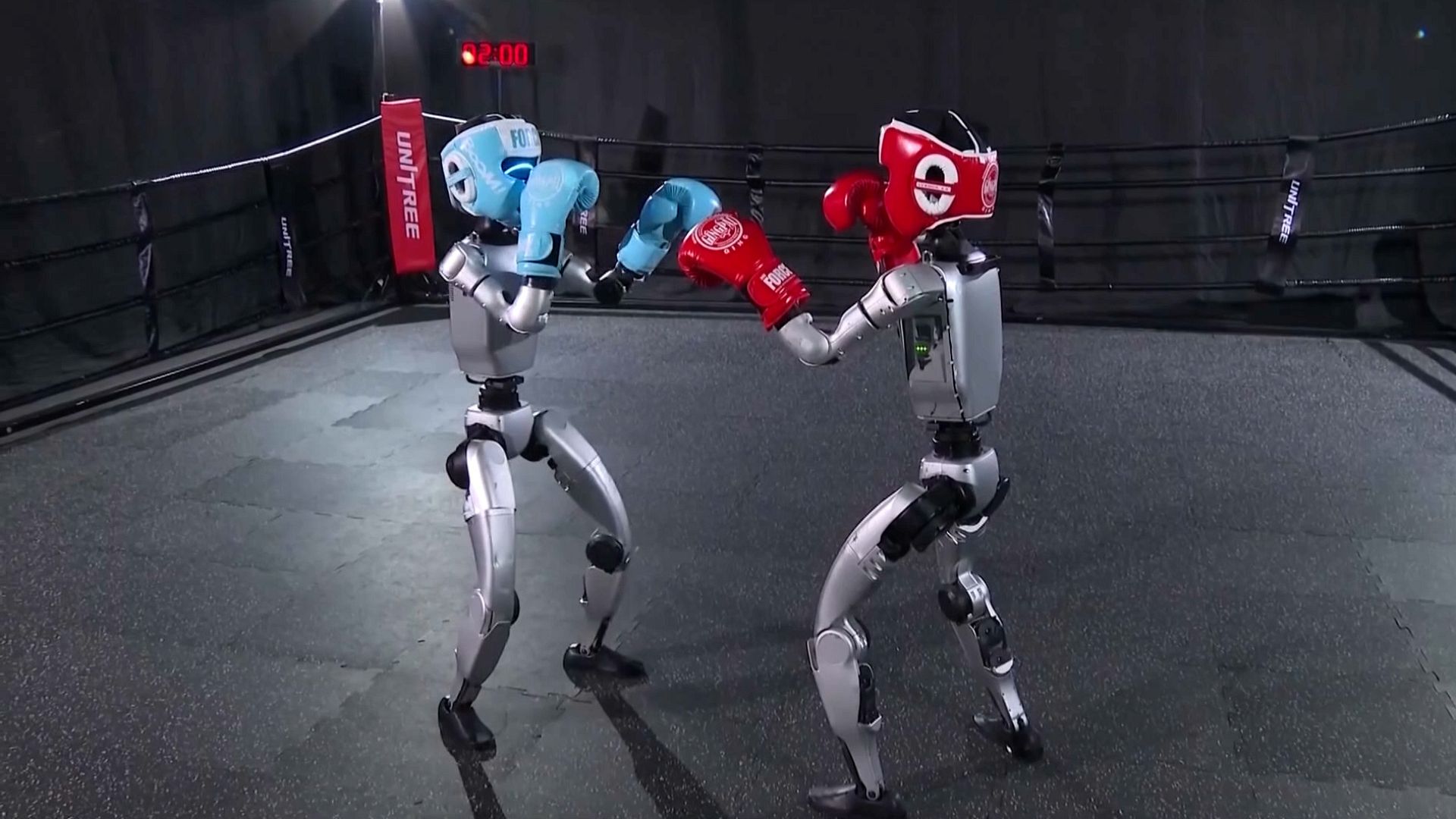 Video. Humanoid robots gear up for boxing debut in Hangzhou | Euronews