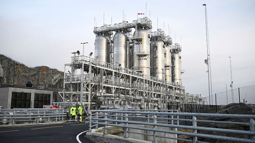 Could ‘wind trees’ with micro turbines be a solution to green energy in ...