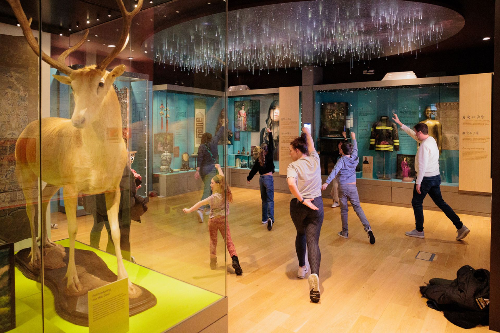 Hit the North! Manchester Museum wins the 2025 European Museum of the ...
