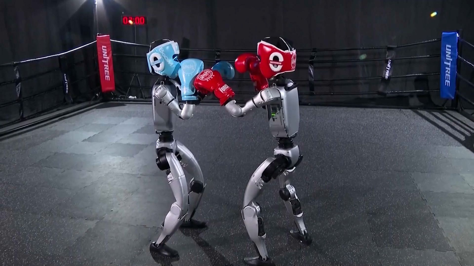 Vidéo. Le stratège IA bat ses rivaux lors du premier tournoi de robots humanoïdes | Euronews
