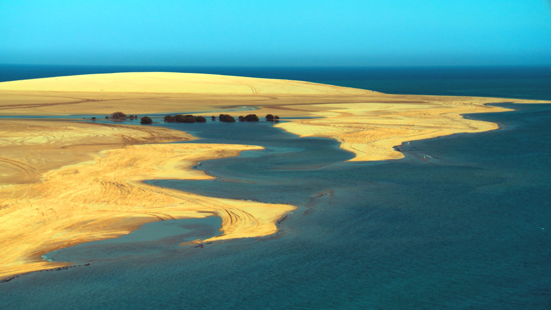 New climate-resistant initiatives underway in Qatar to conserve water ...