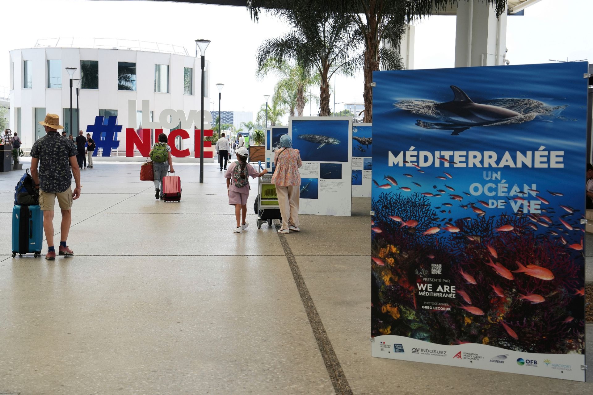 ‘Lacklustre’ EU Ocean Pact falls short of urgent marine protection ...